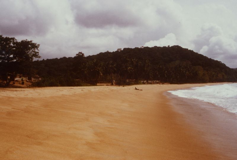 Voyage en Côte d'Ivoire des plages à la forêt